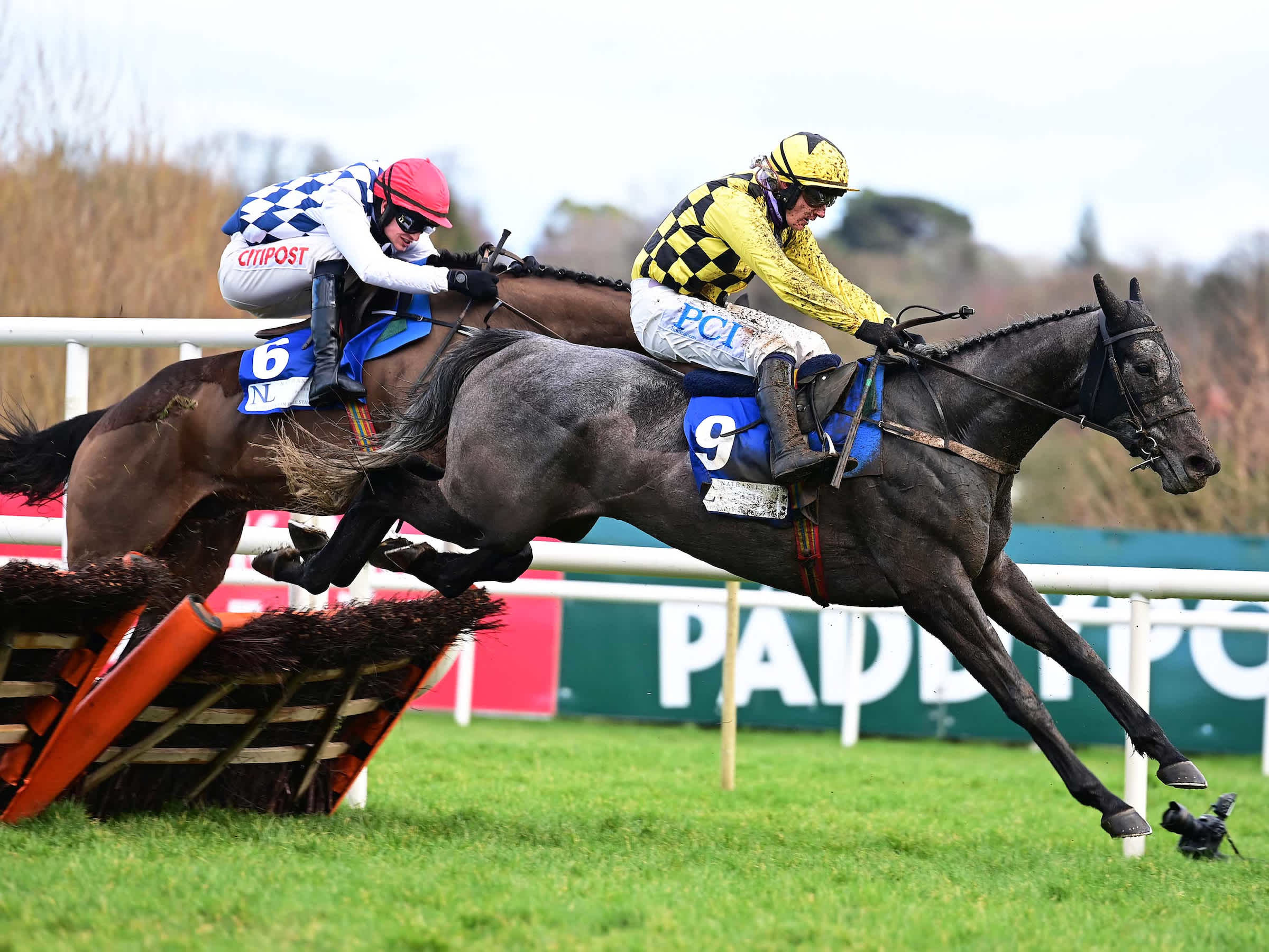 Four key horses to look out for at Naas on Thursday
