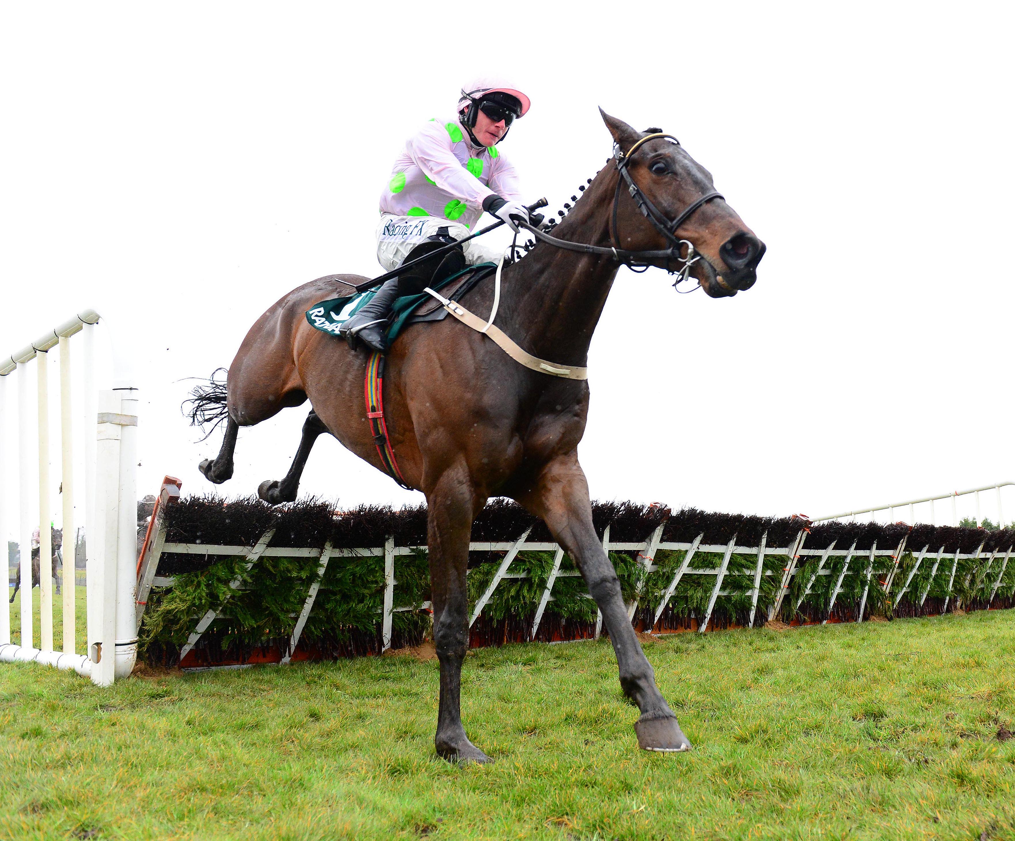 The Ruby Walsh column: Gordon Elliott and Willie Mullins are making ...