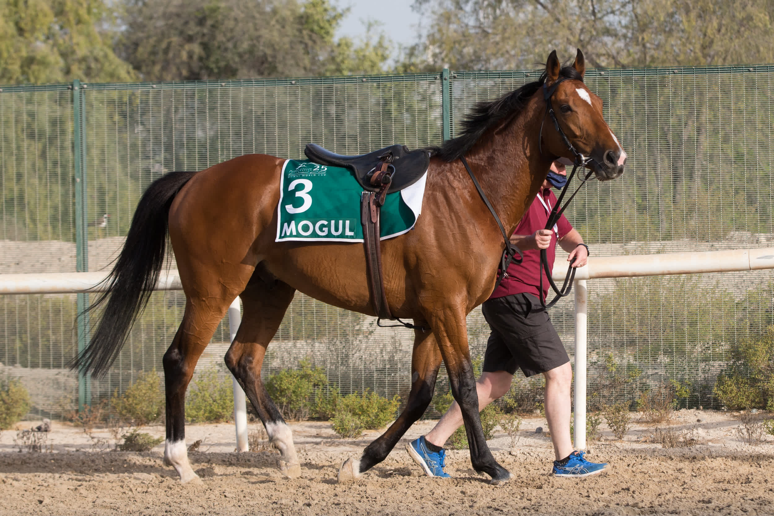 Horses to follow: Nick Lightfoot with five names to note for the months ...