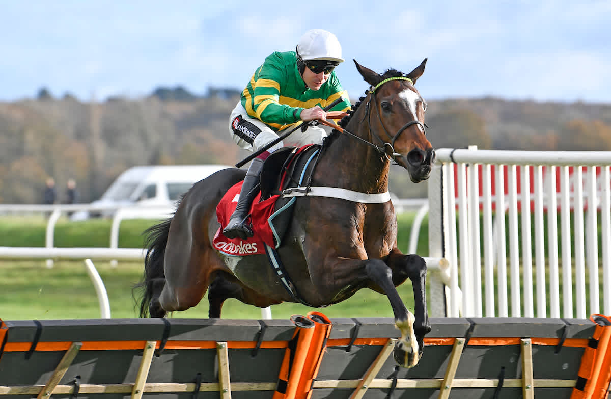 Cheltenham Festival Day One: race-by-race guide and Tote Placepot