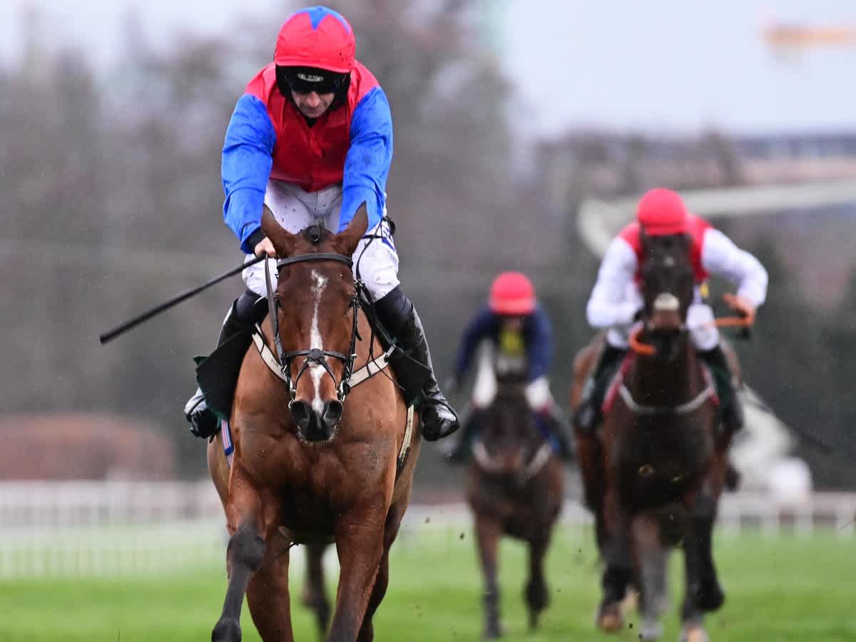Dublin Racing Festival: The best bookmaker offers and free bets