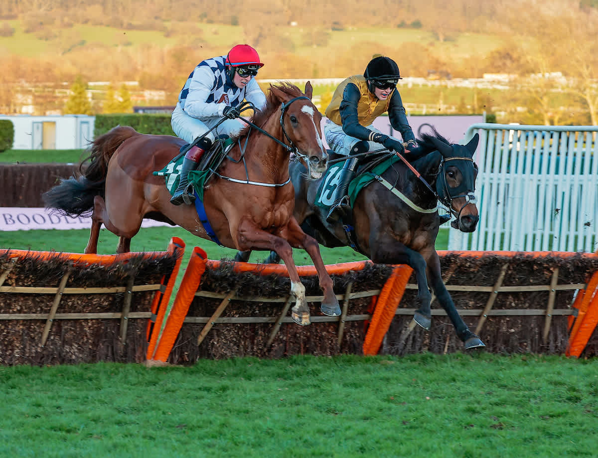 Dan Barber: My five to follow from the Cheltenham Festival
