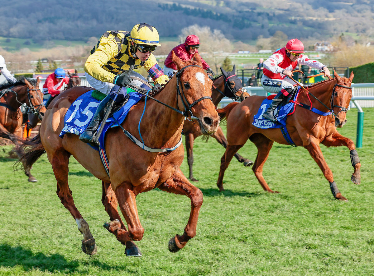 Cheltenham Racecourse: Today's Results & Betting