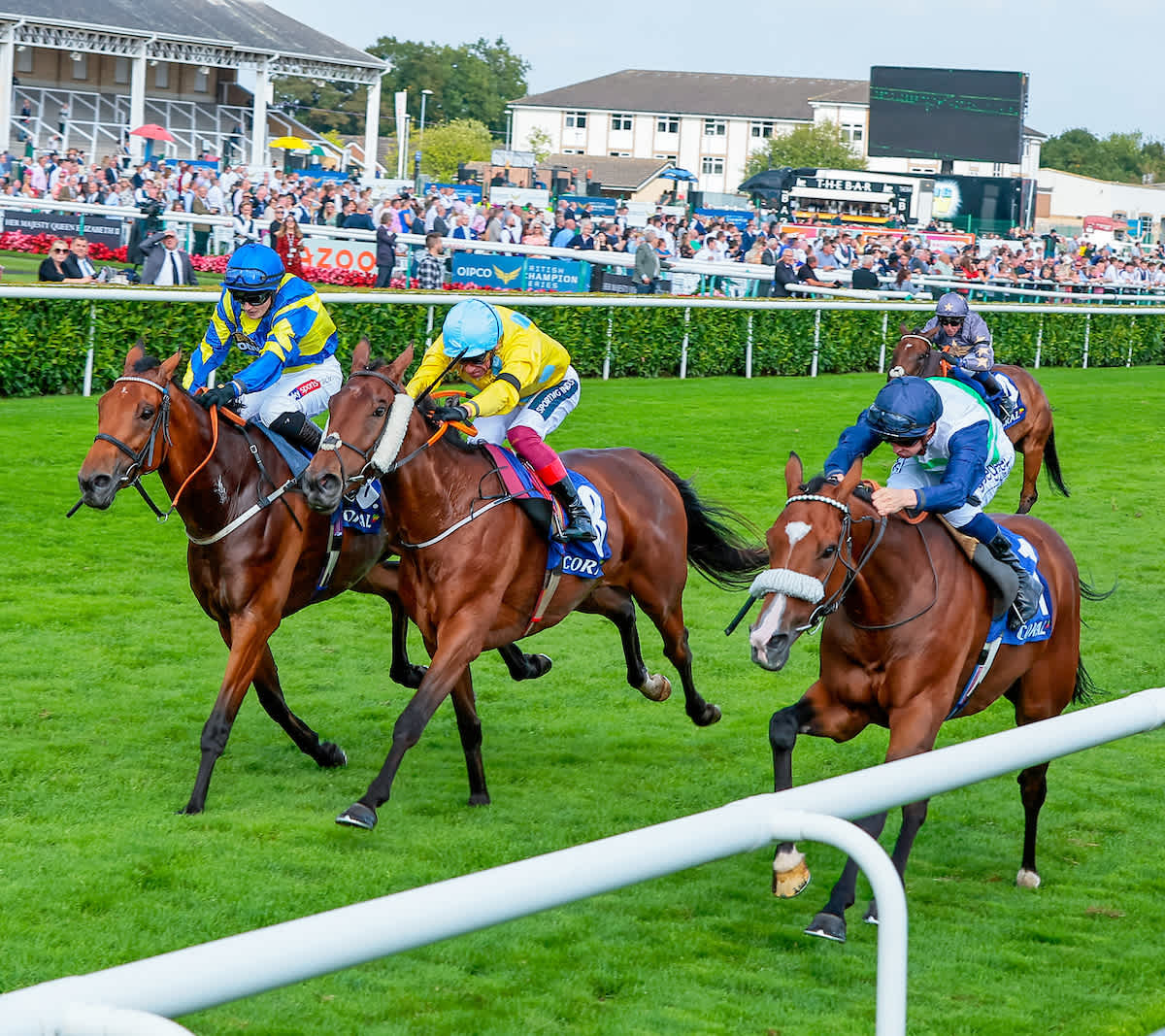 Racing Results | 13:35 Doncaster | Sat 28 Oct 2023