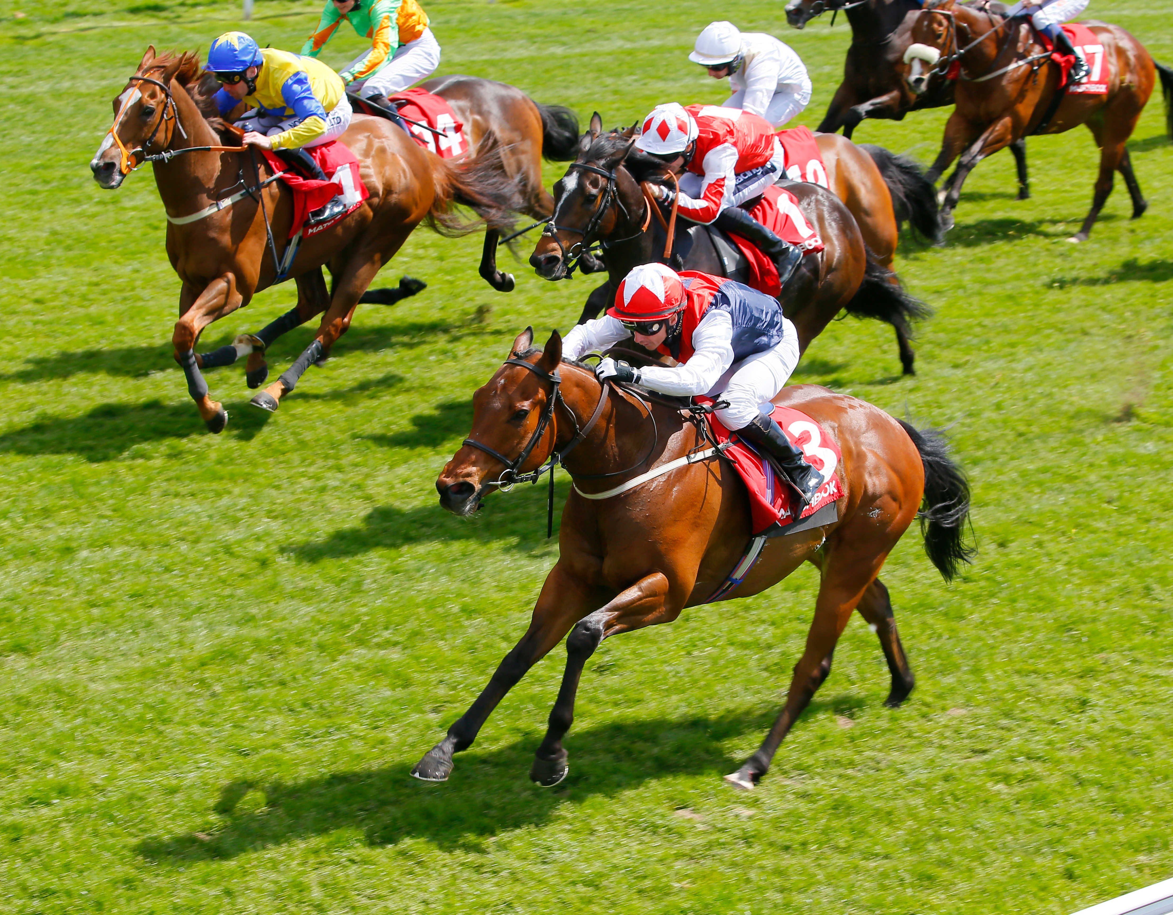 Copper Knight entered in race bearing his name at York
