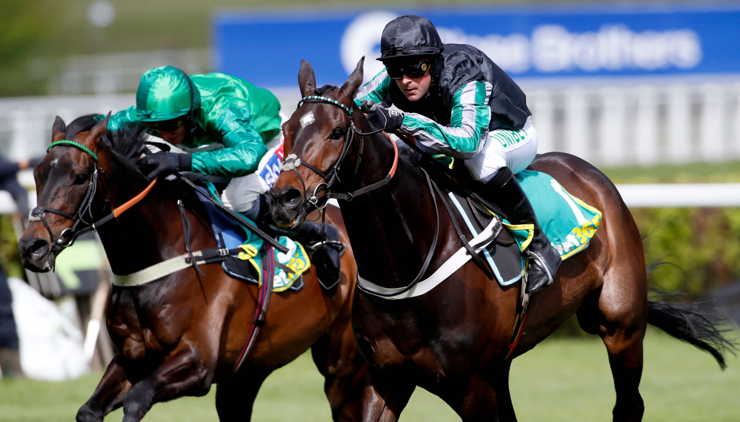 Bet365 Celebration Chase: Runner-by-runner guide to the Sandown showpiece