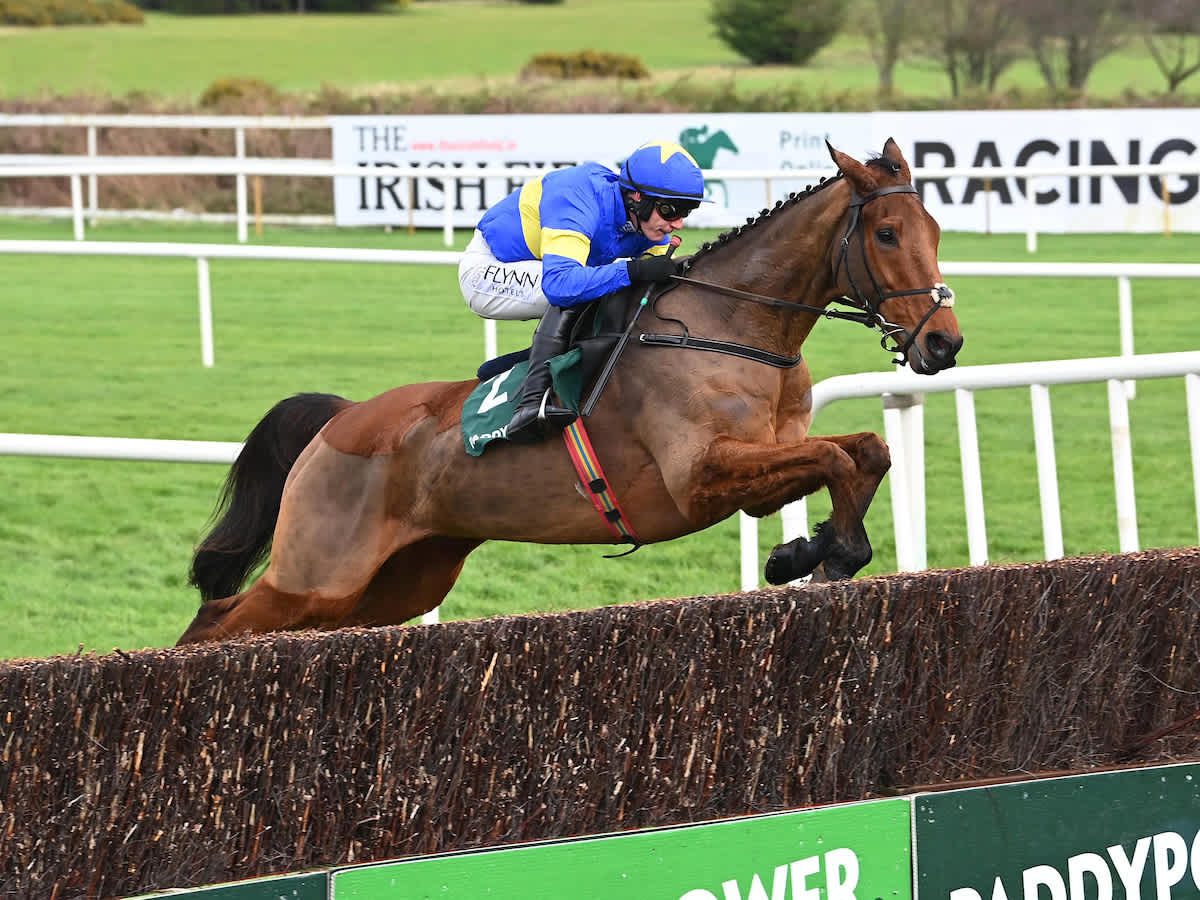 Dysart Dynamo stakes Arkle claim with impressive chase debut