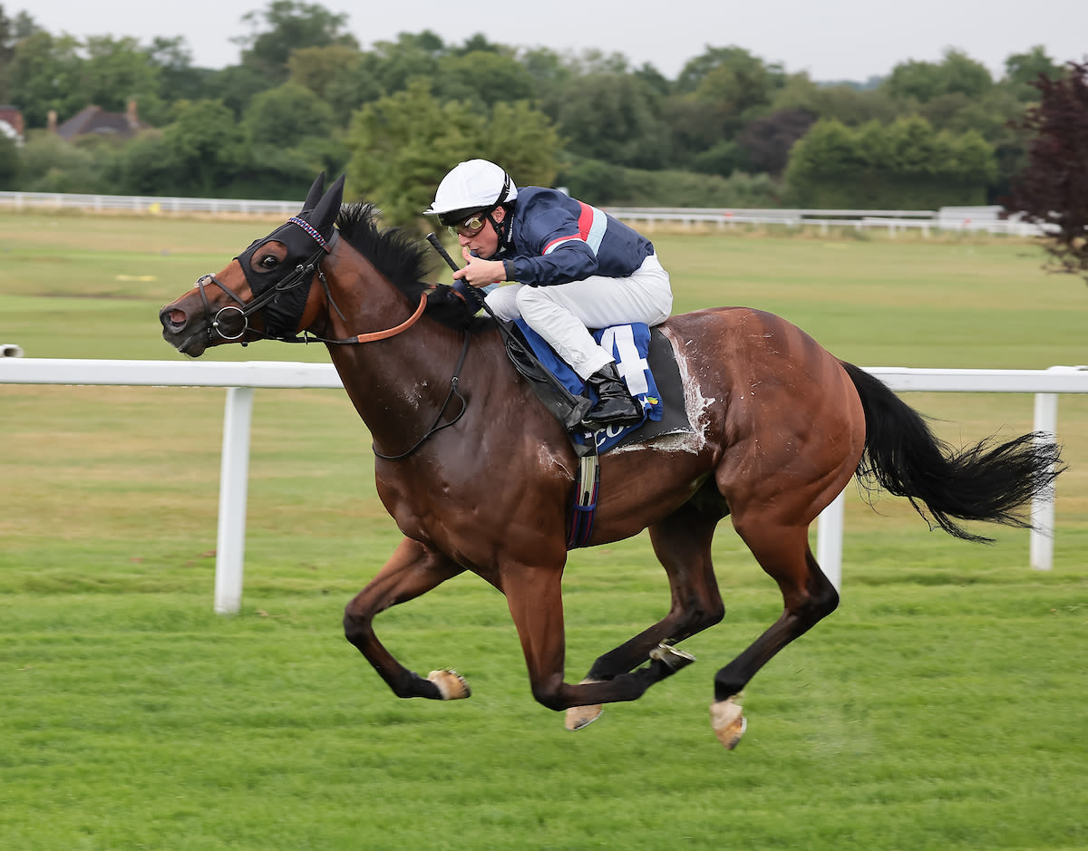 King George Qatar Stakes: "I'm super-excited, she's bouncing"