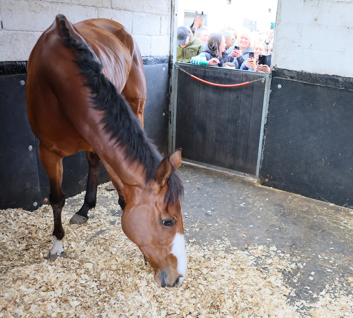 Grand National: proud locals gather to salute Corach Rambler