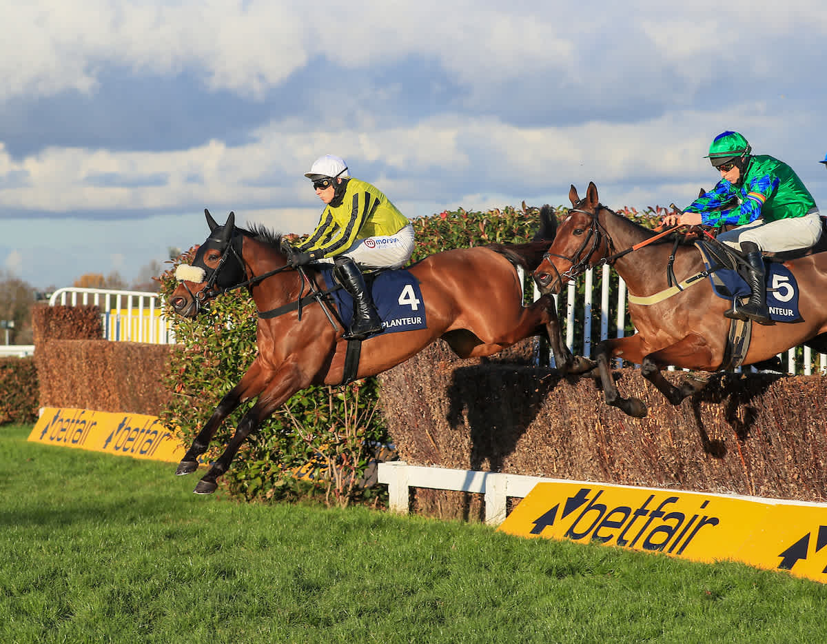 Dave Nevison: my best four bets for Cheltenham on Saturday