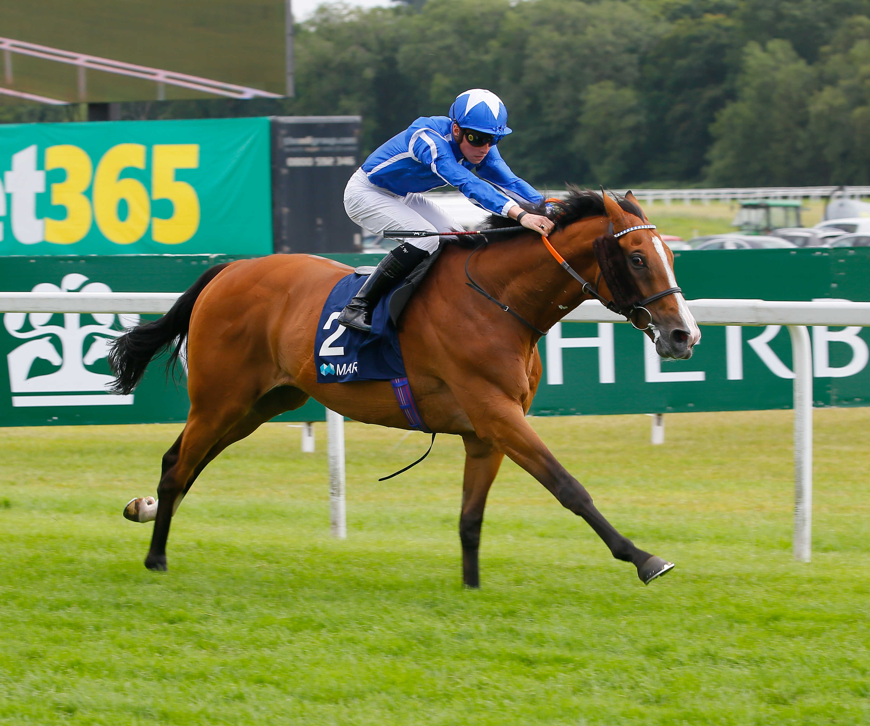 Withhold back with a bang as he lands Marsh Cup at Newbury