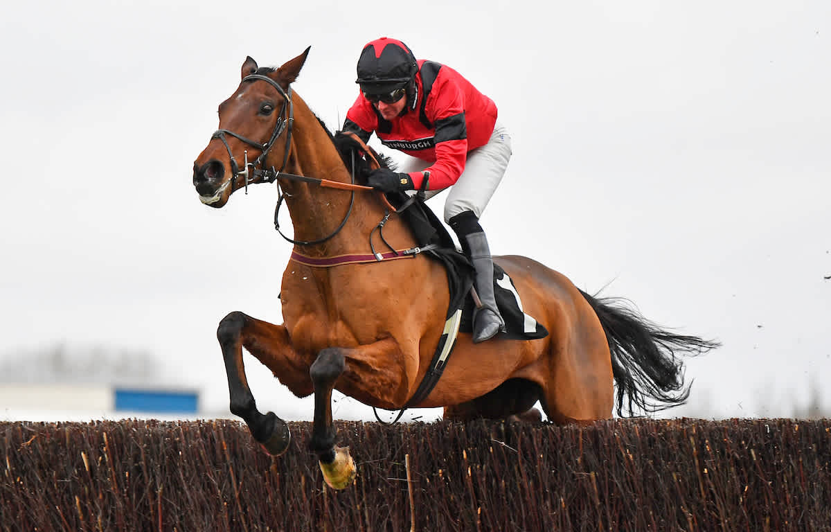 Bravemansgame and Ahoy Senor on course for Charlie Hall clash