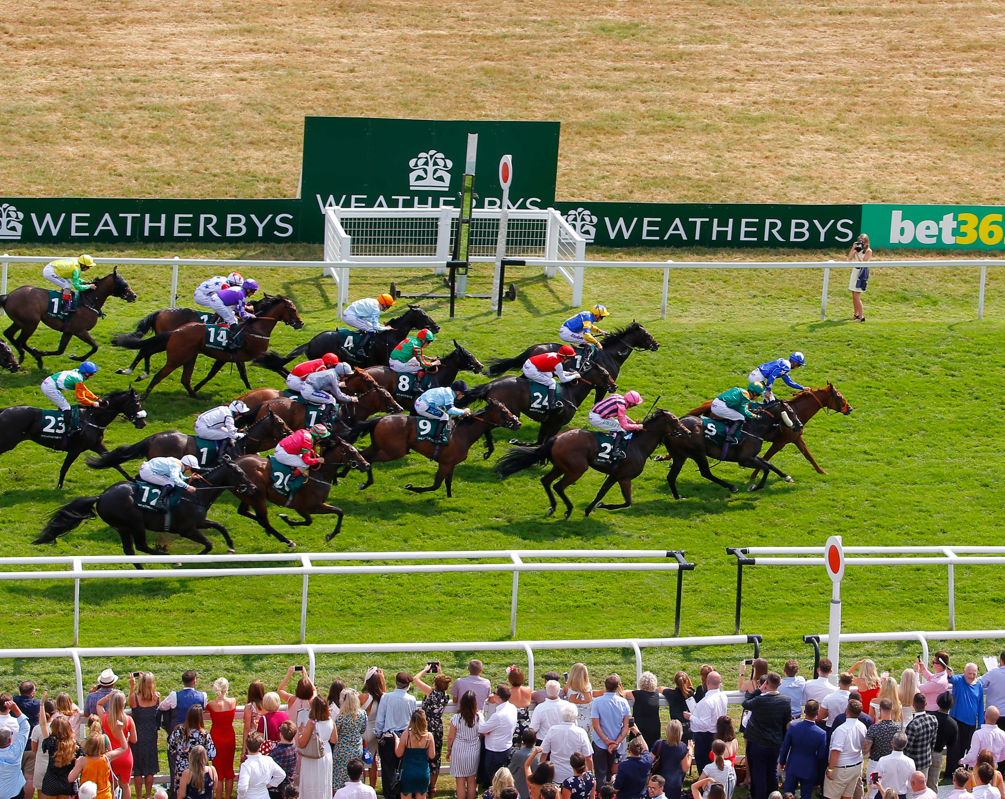 The 2020 Weatherbys Super Sprint: Five horses for your shortlist