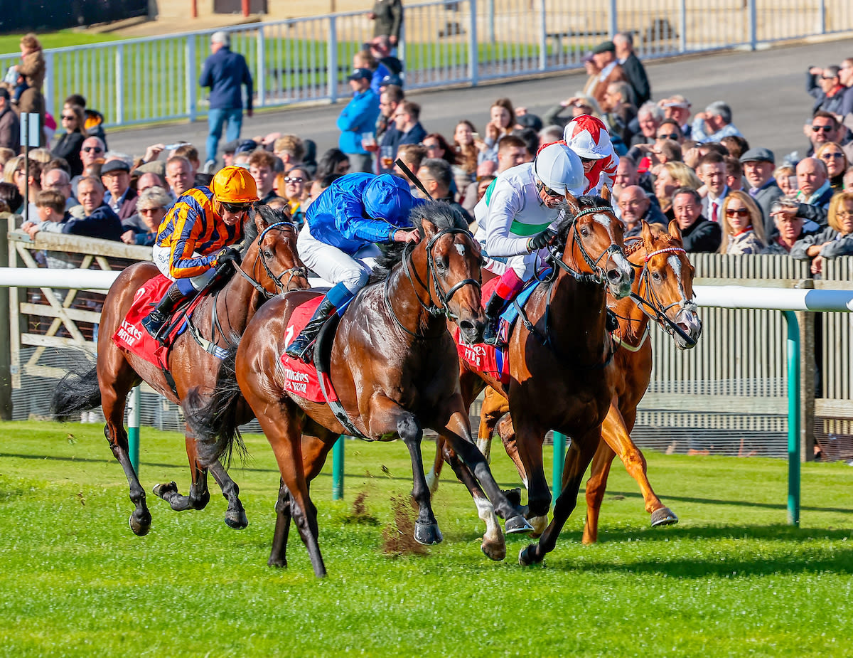 King Of The Swinger: your chance to win £1,000 in free bets