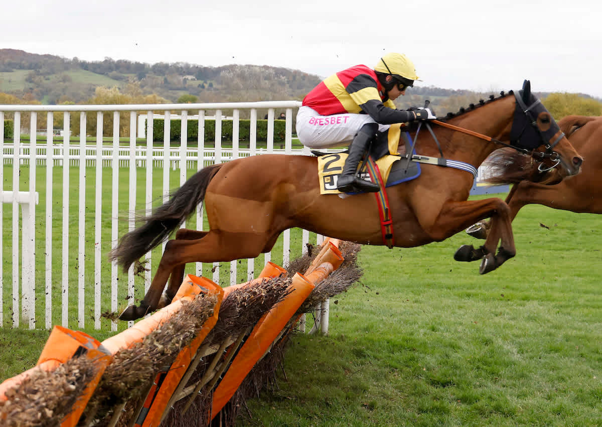 Road To Cheltenham: Don't underestimate Knight Salute