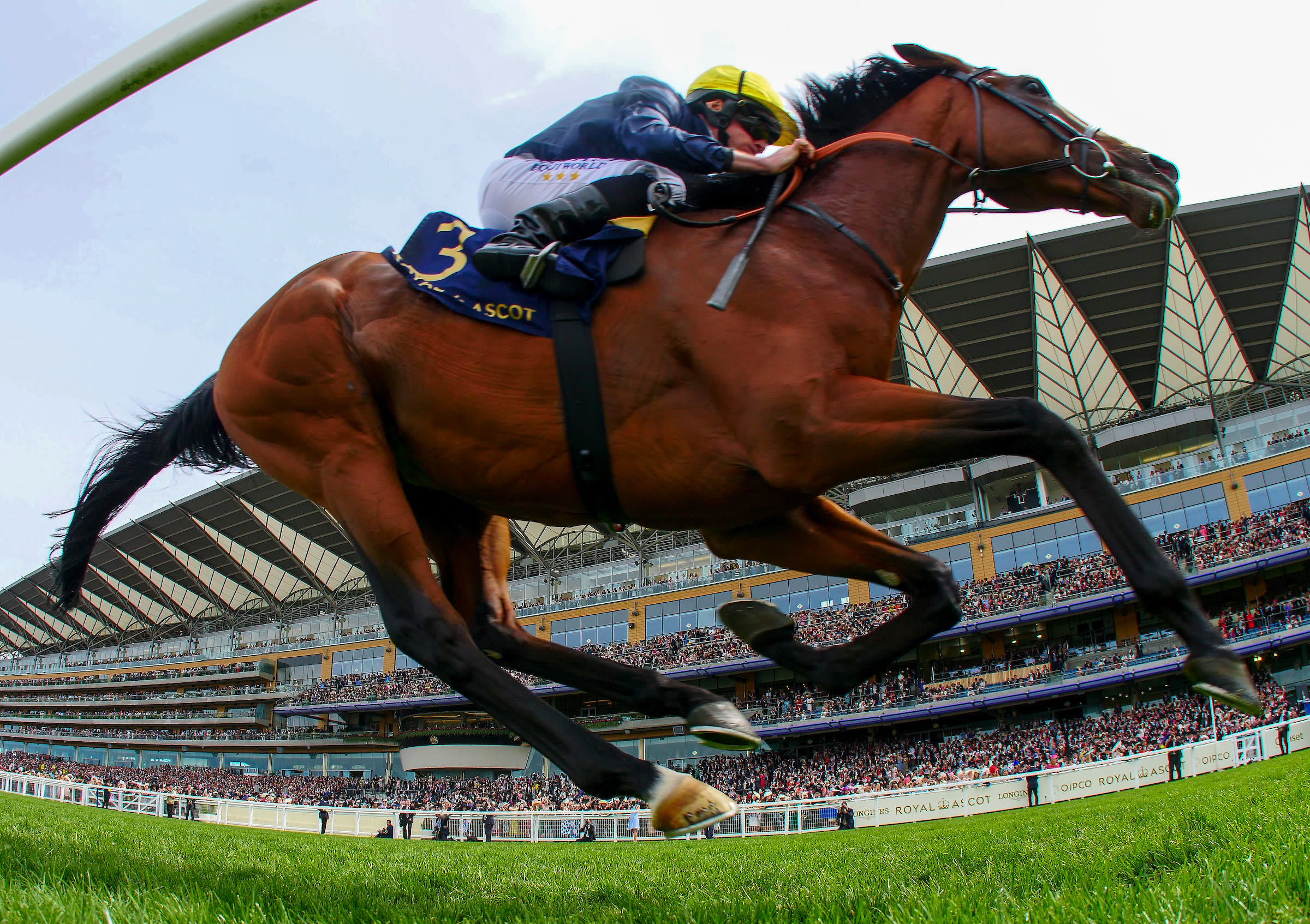 Hardwicke: Crystal Ocean 11-4 for the King George after straightforward ...