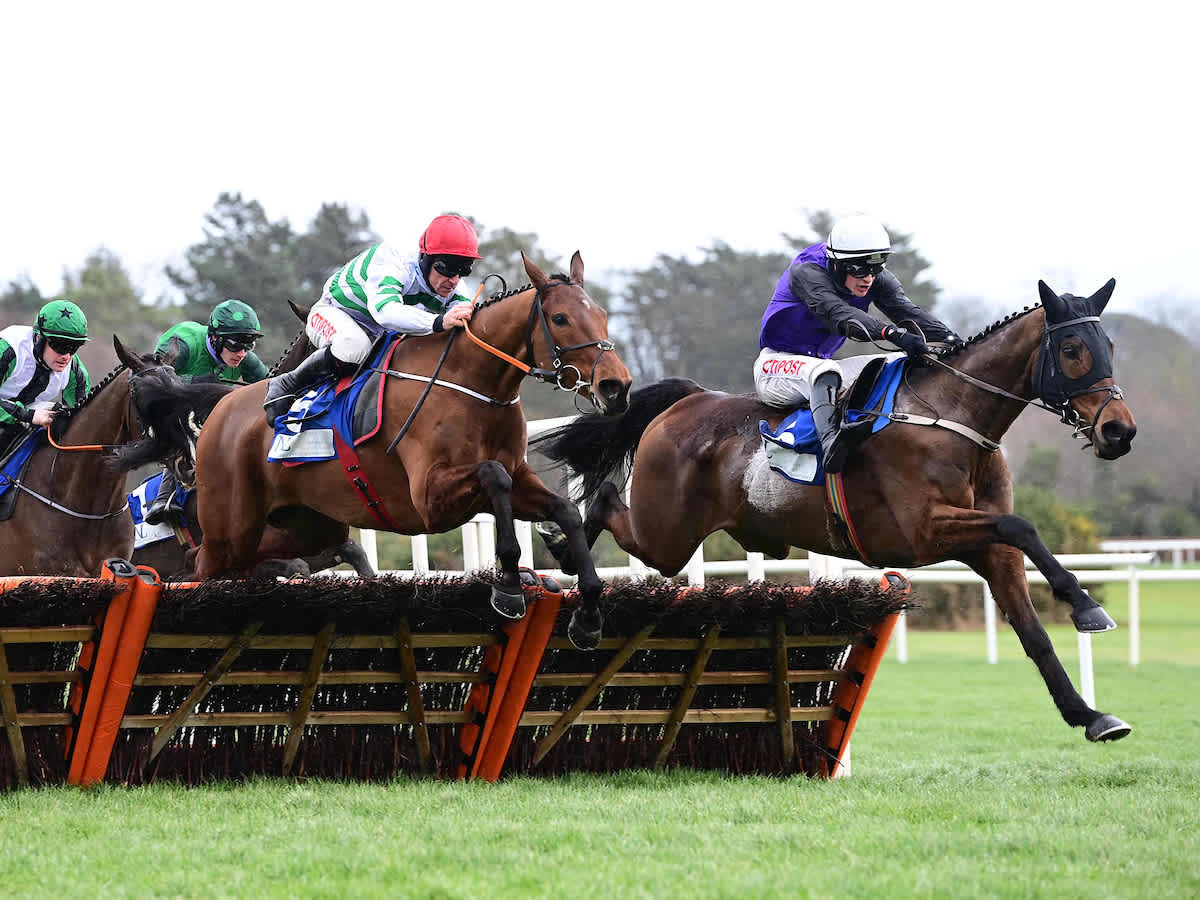 Irish horse racing tips: Johnny Ward's best bets for Saturday