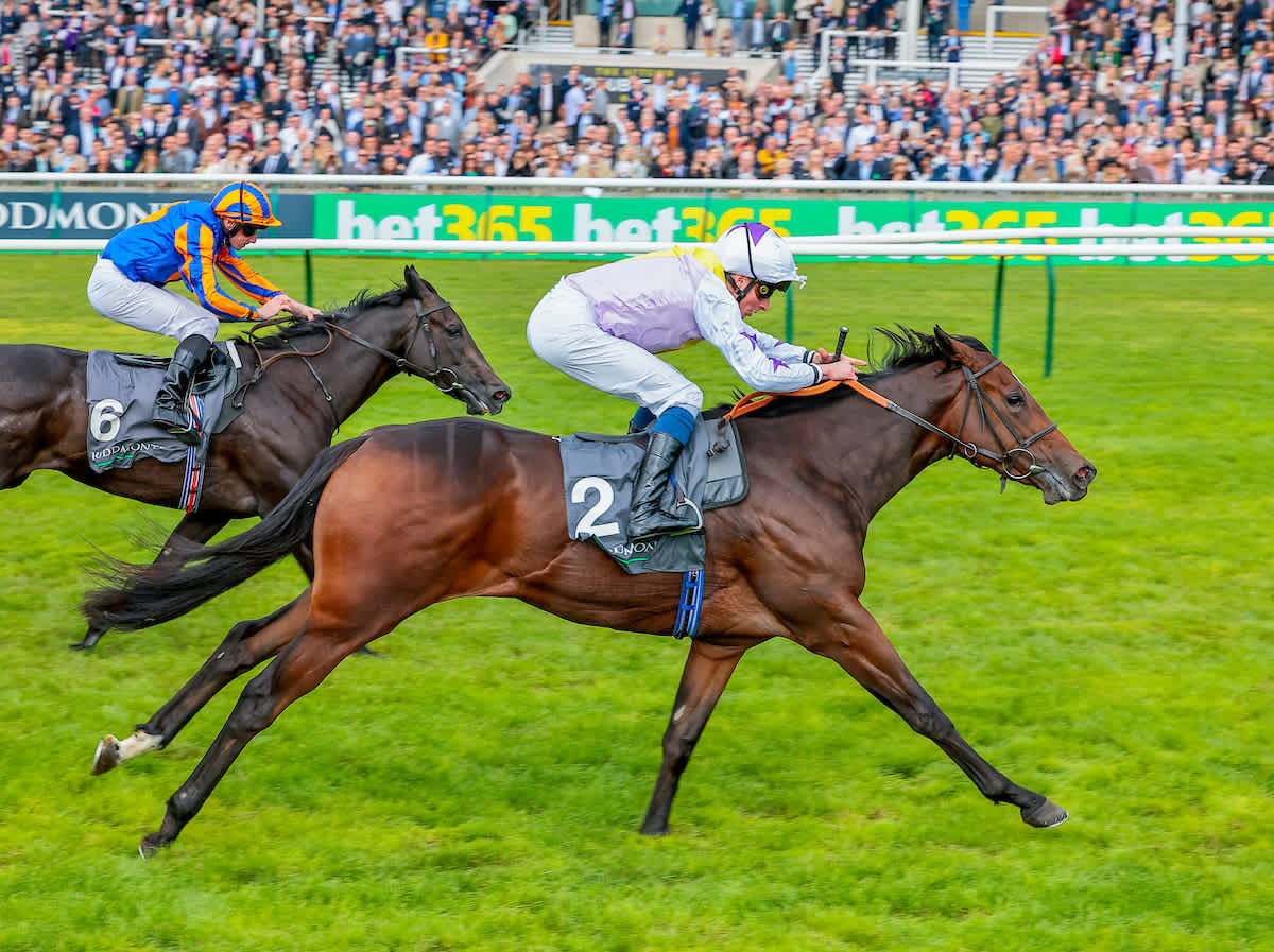 Lezoo strikes for Group One glory in Cheveley Park