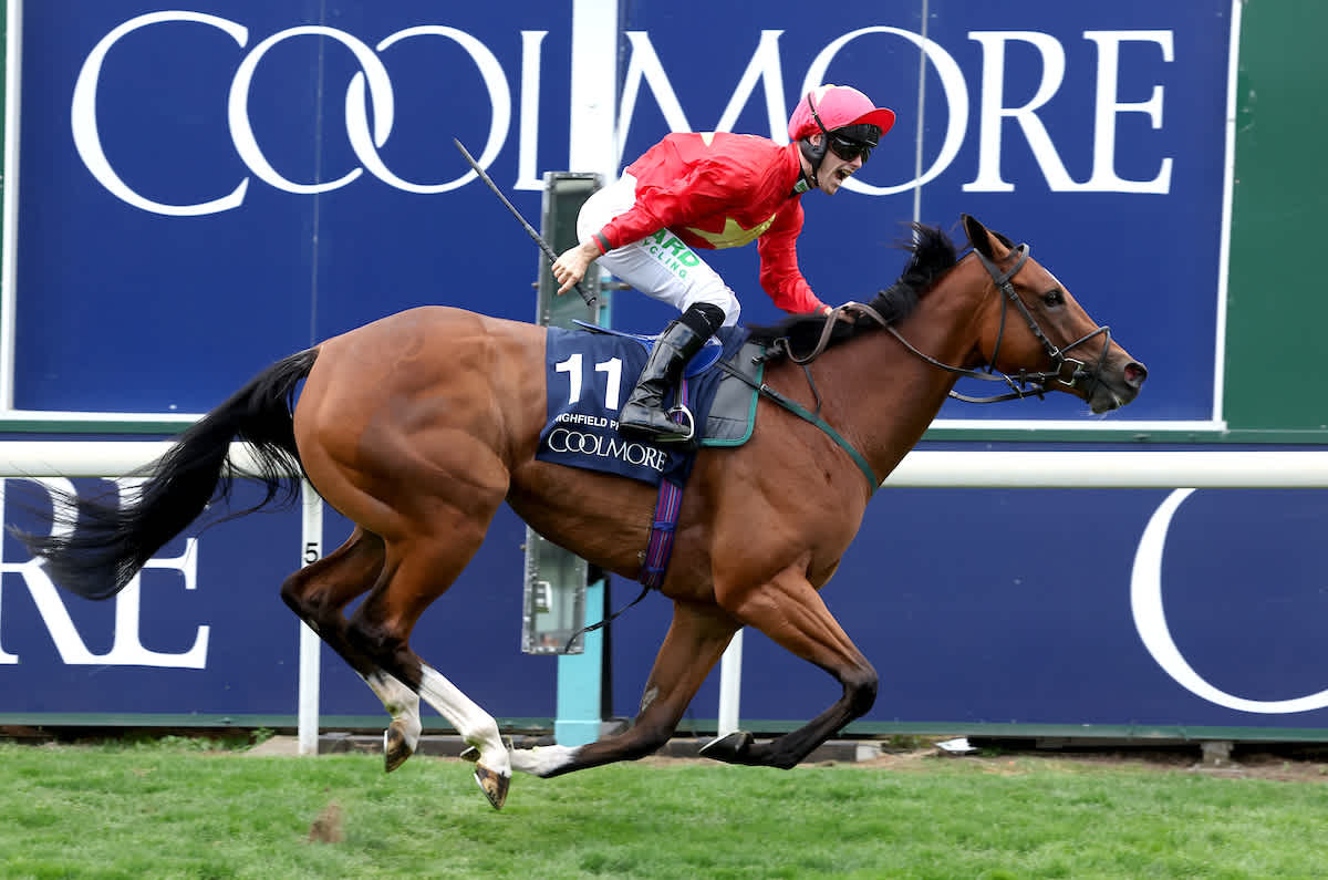 York report: Highfield Princess just magical in Nunthorpe