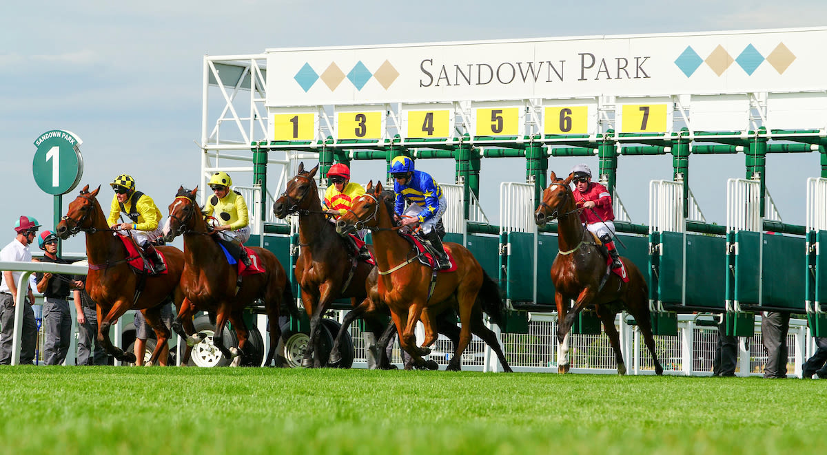 Guide to the Sky Bet 2023 Sunday Series courses: Sandown Park
