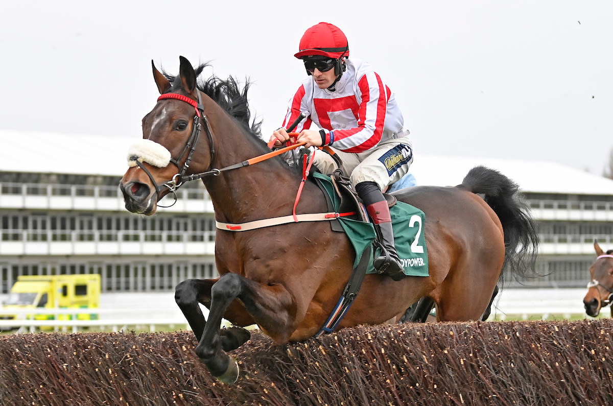 Gold Cup hope The Real Whacker in fine form