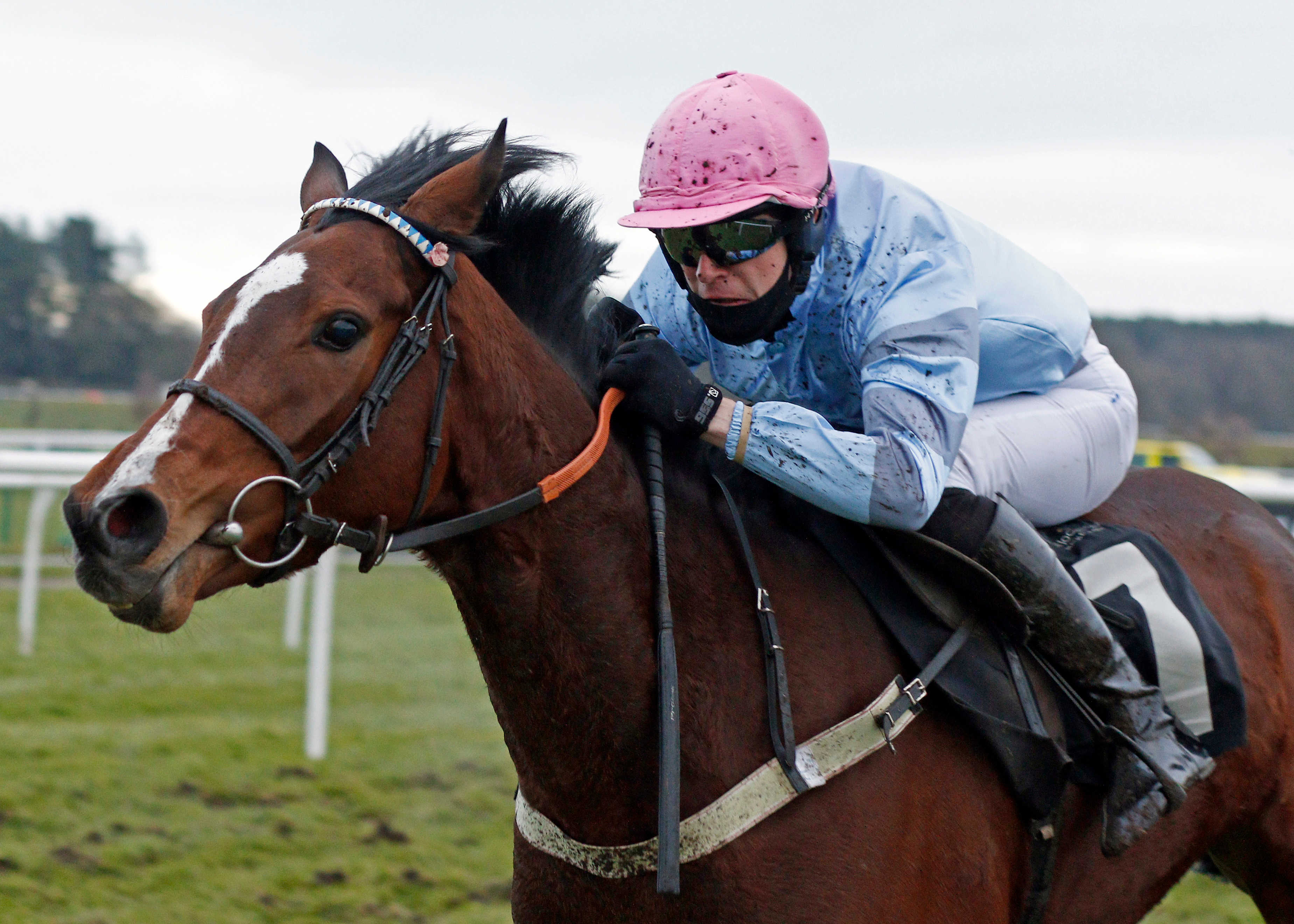 Pam Sly eyes Rose Bowl season finale for Eileendover