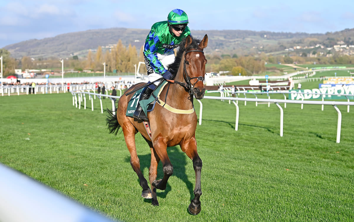 Jamie Snowden in "tricky position" with Festival hope Ga Law