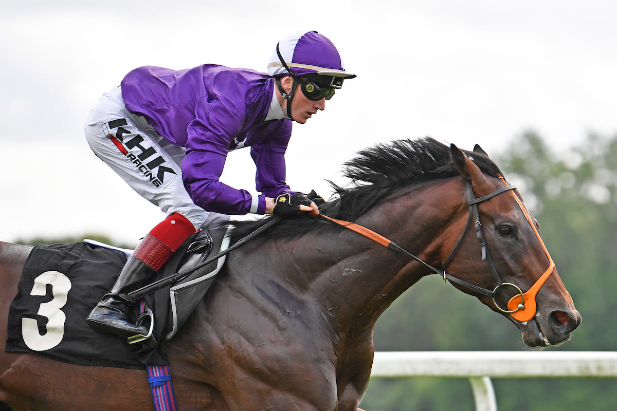 Racing career in balance for "very special" Mojo Star