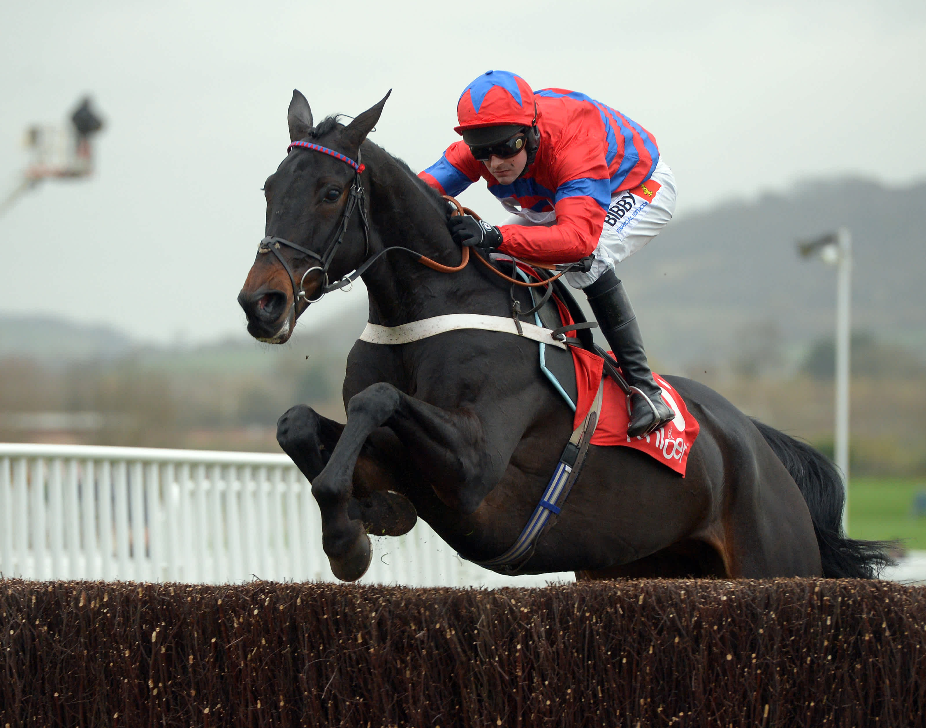 Sprinter Sacre to parade on Tingle Creek day at Sandown