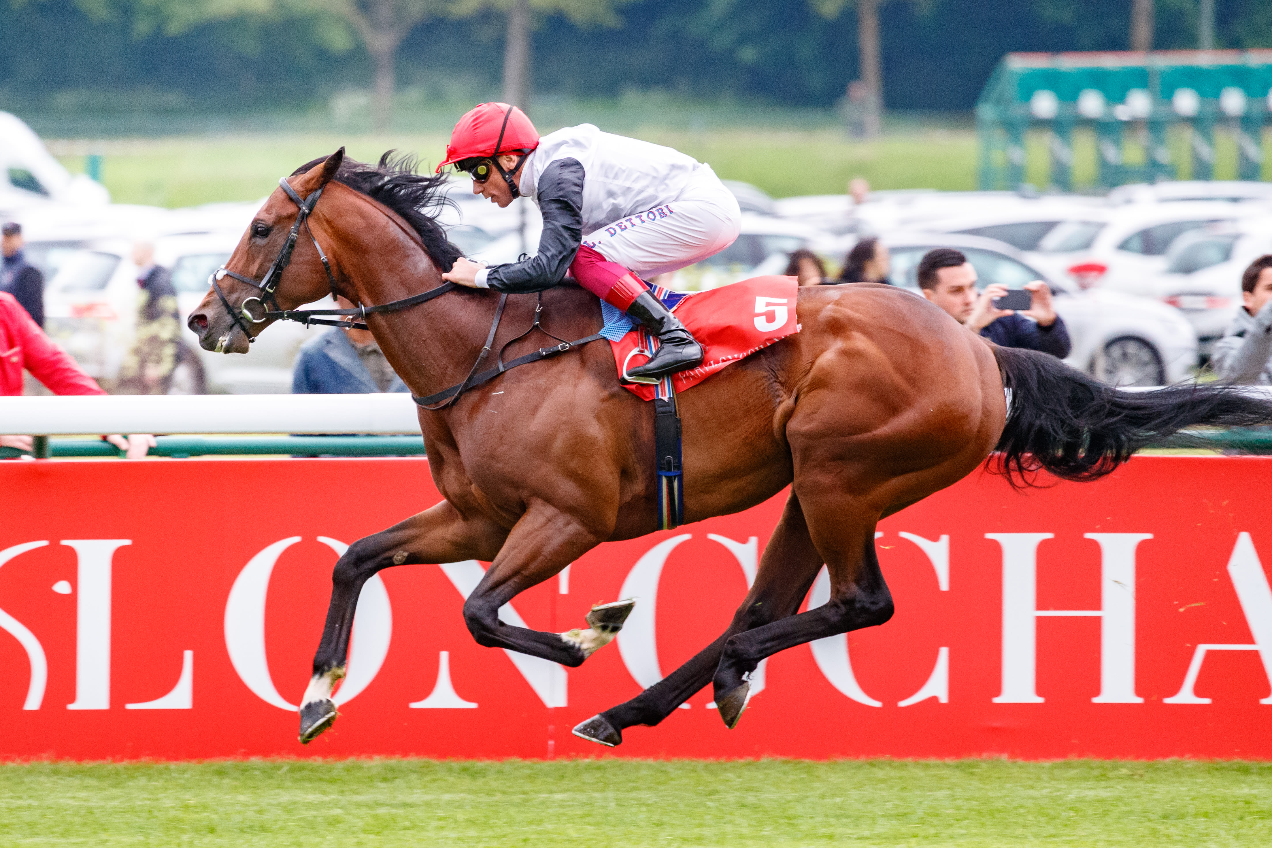 Juvenile Watch: Ferrari Queen impresses with pace and power