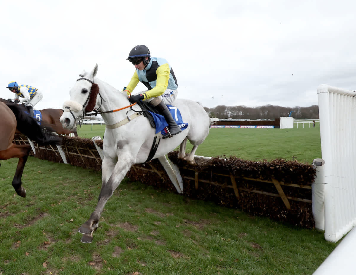 Wakool scales new heights with Rendlesham Hurdle glory