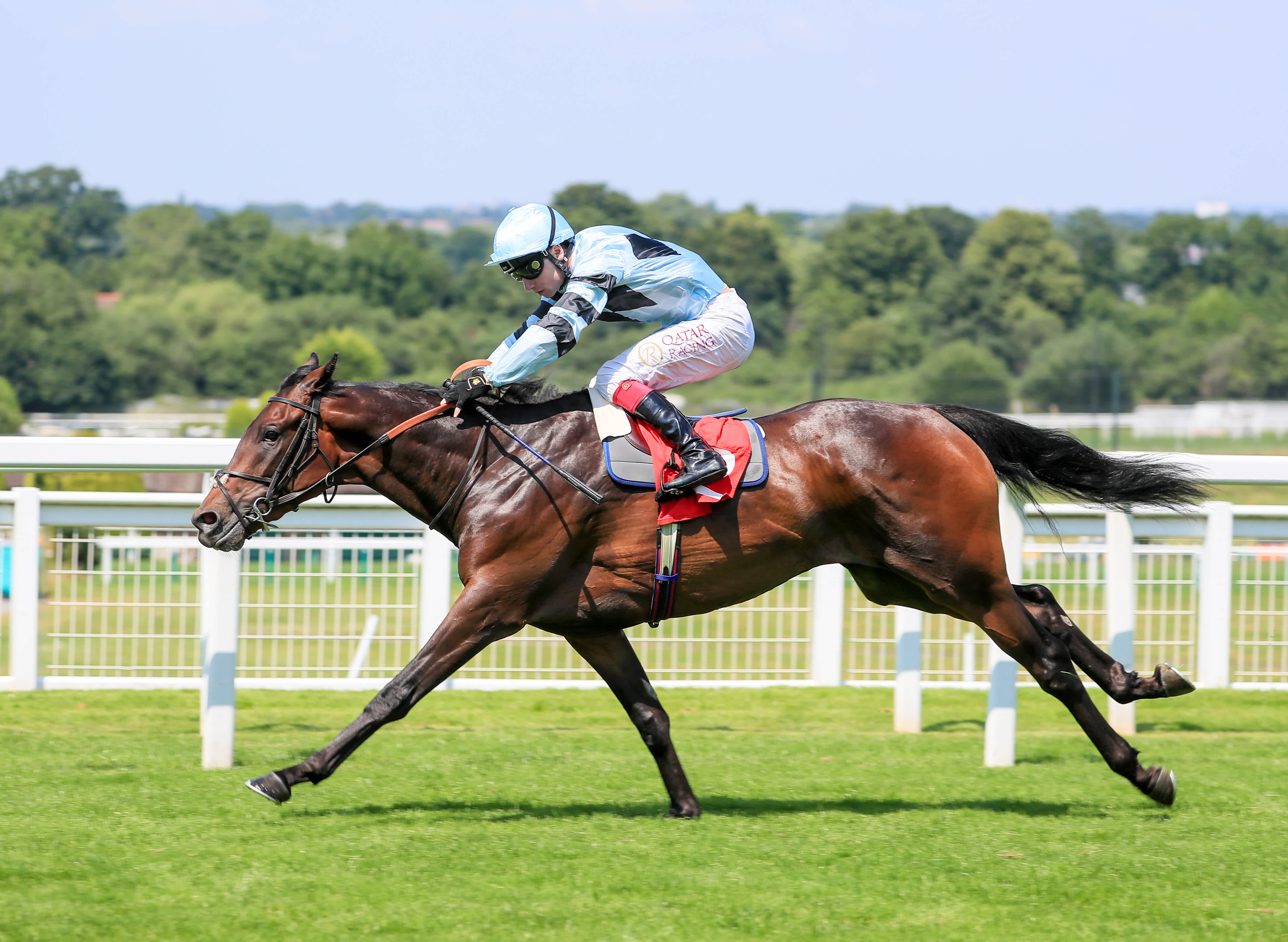 Zechariah bound for Juddmonte Royal Lodge at Newmarket
