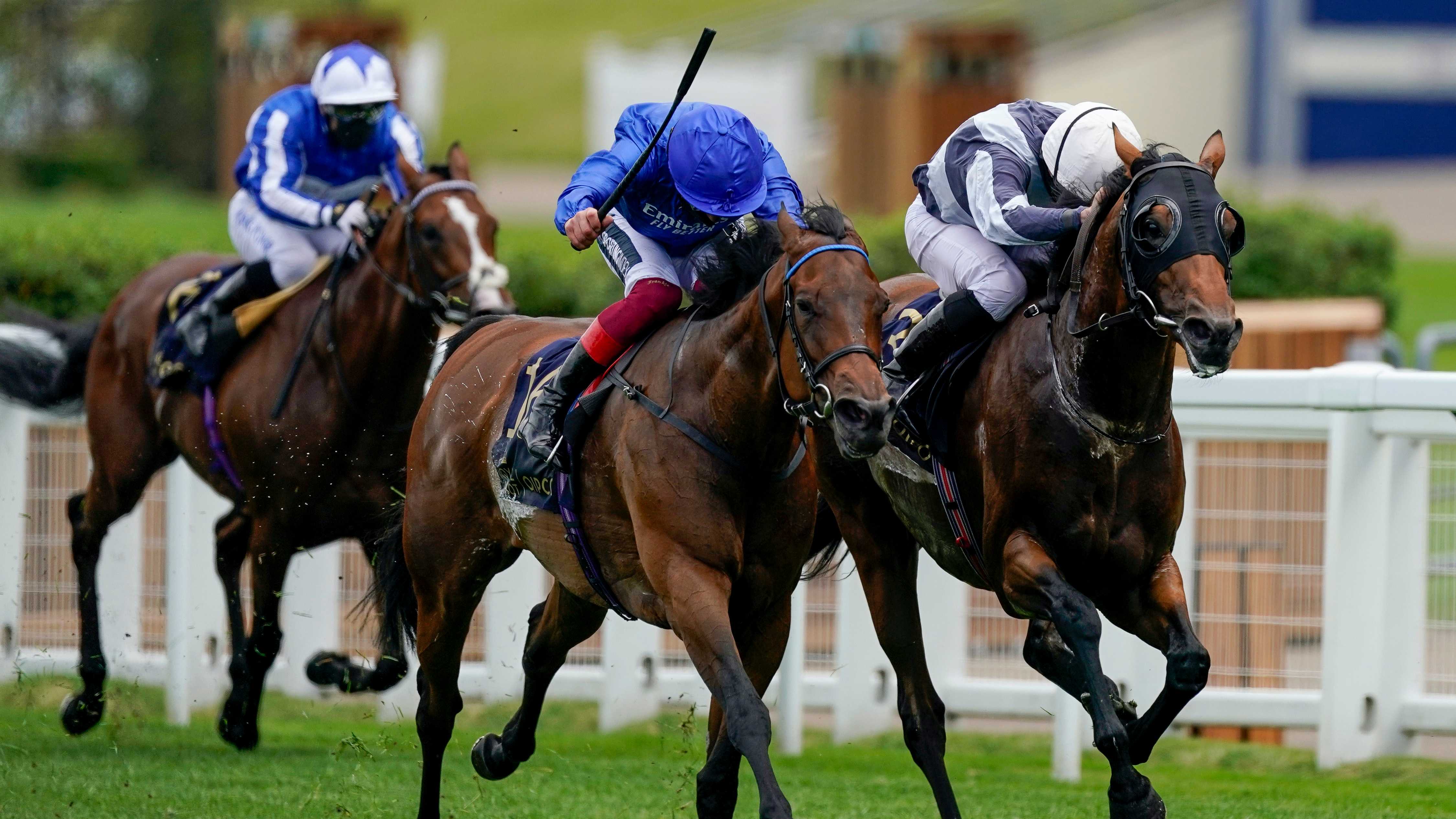 Harry Allwood's runner-by-runner guide to the 2020 Tattersalls Falmouth ...