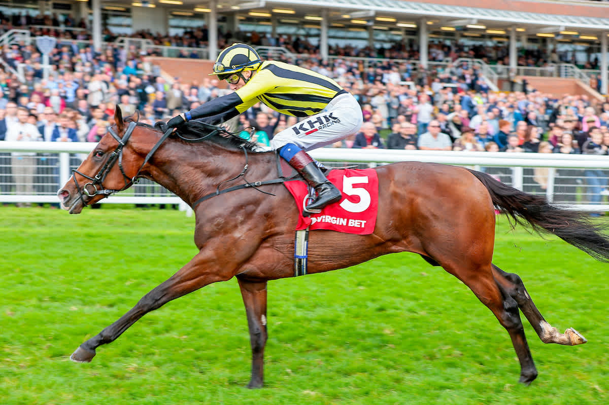 Knight remains unbeaten with smooth Horris Hill victory