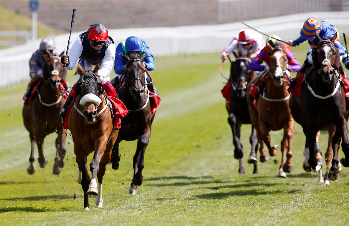 Tote Chester Cup: inside guide from connections and tip