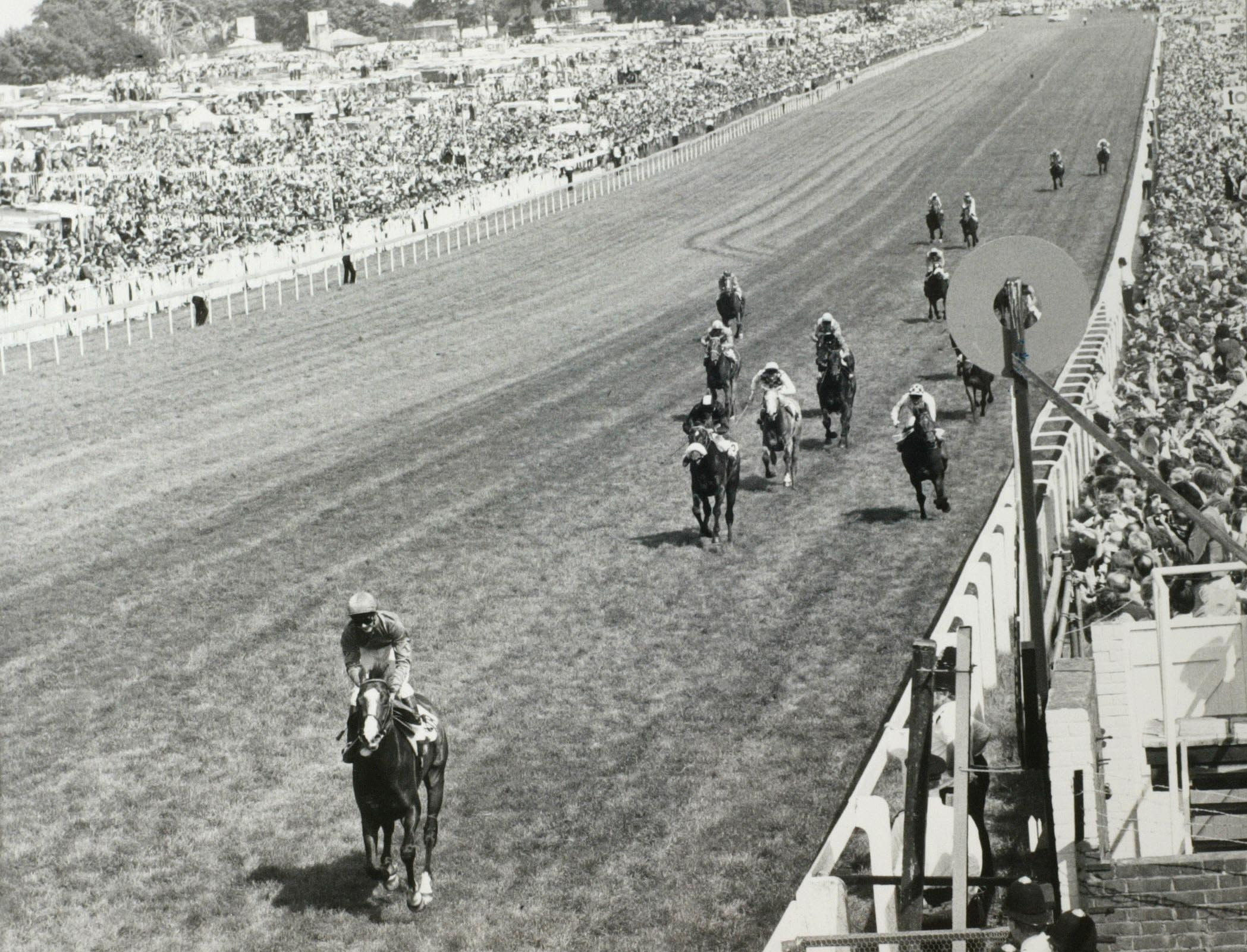 Horses That Made History: The story of the mighty Shergar