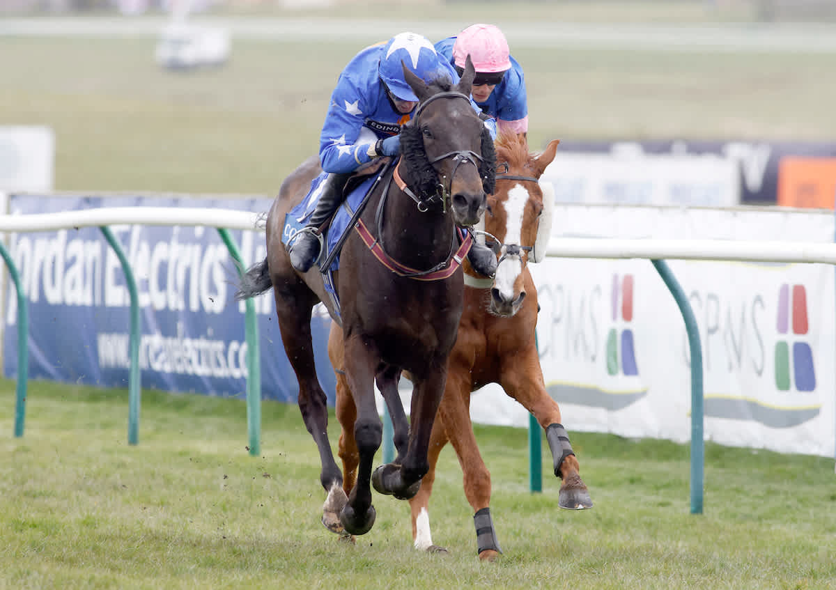 Scottish Grand National: Get the inside track from connections