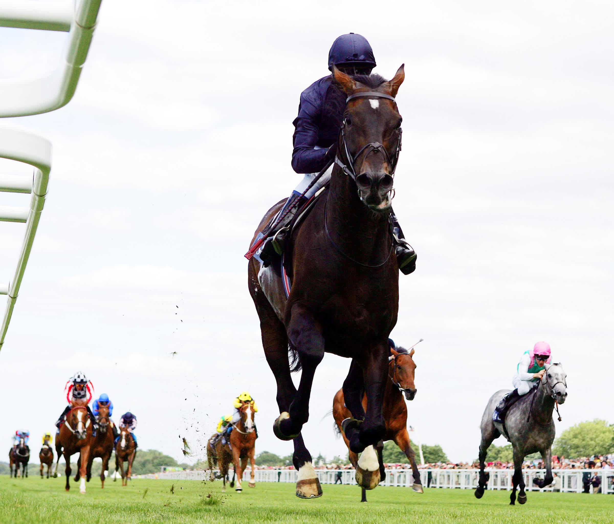 Horses That Made History: Yeats was the "ultimate heavyweight champion"