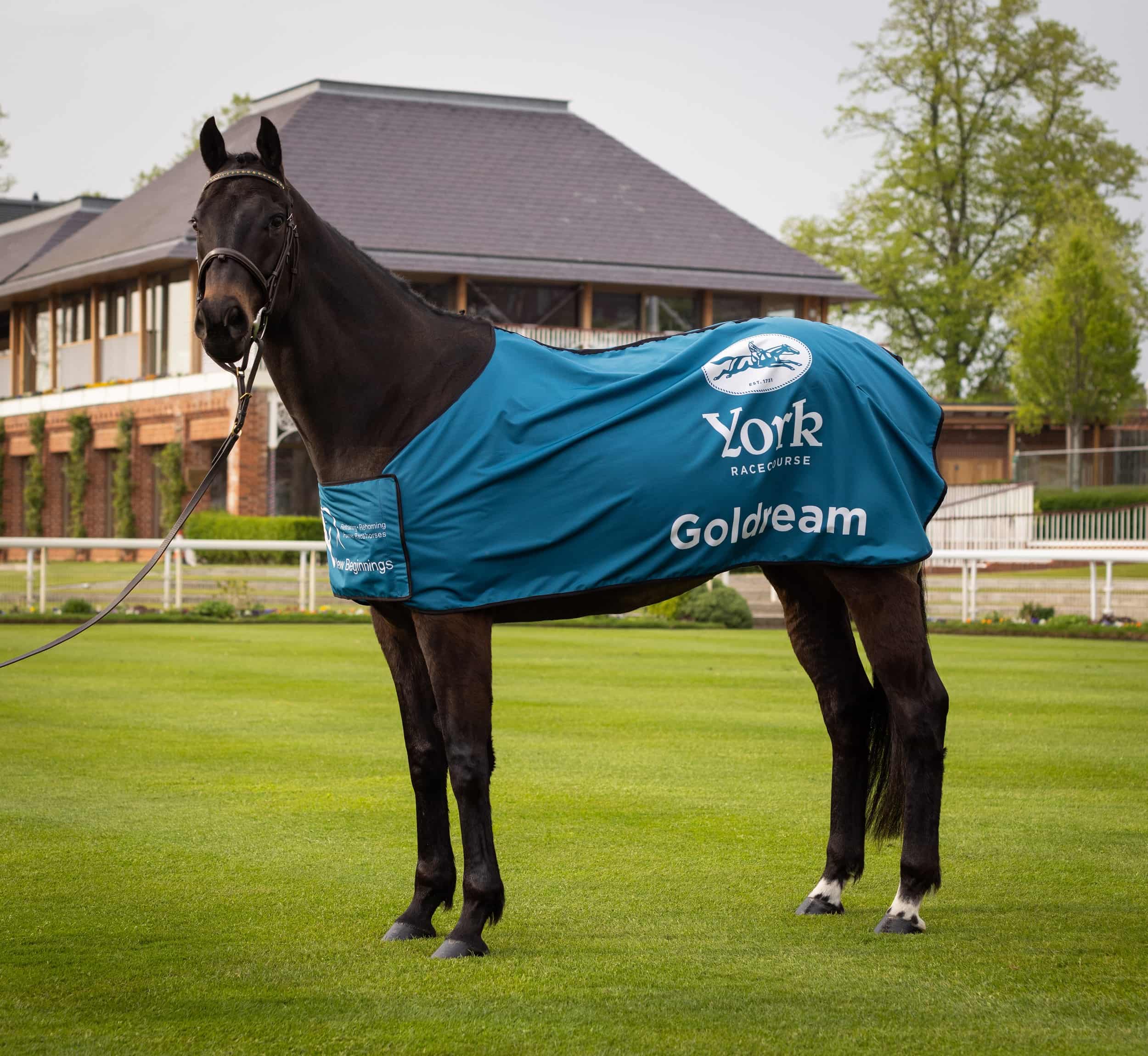 Goldream perfectly illustrates invaluable work of New Beginnings