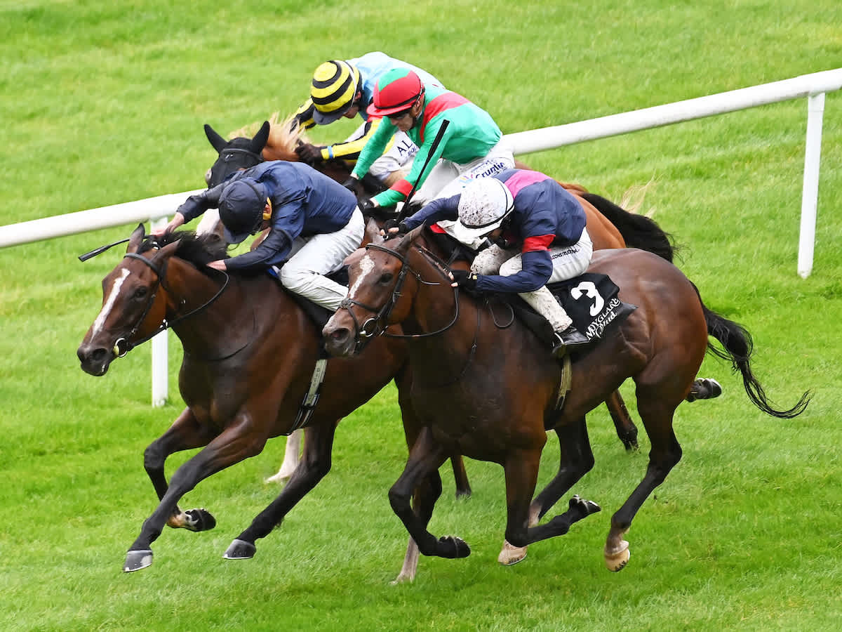 Sunday horse racing tips: Angus McNae's bets at the Curragh