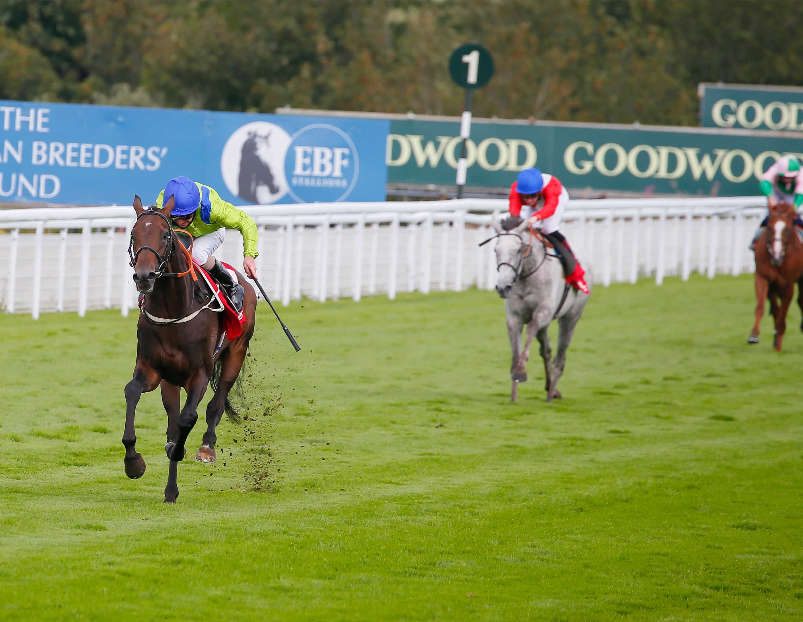 15 lengths! Subjectivist bolts up at Goodwood to book St Leger ticket