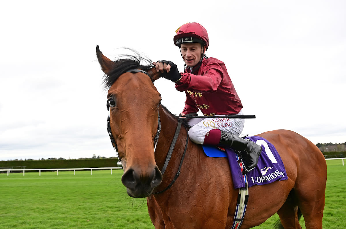 Leopardstown report: Buckaroo digs deep to repel Homeless Songs