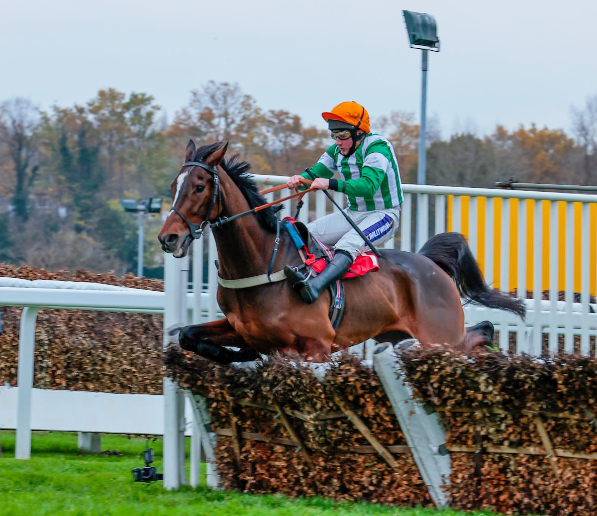 Gary Moore: Why Tolworth Hurdle glory would mean so much