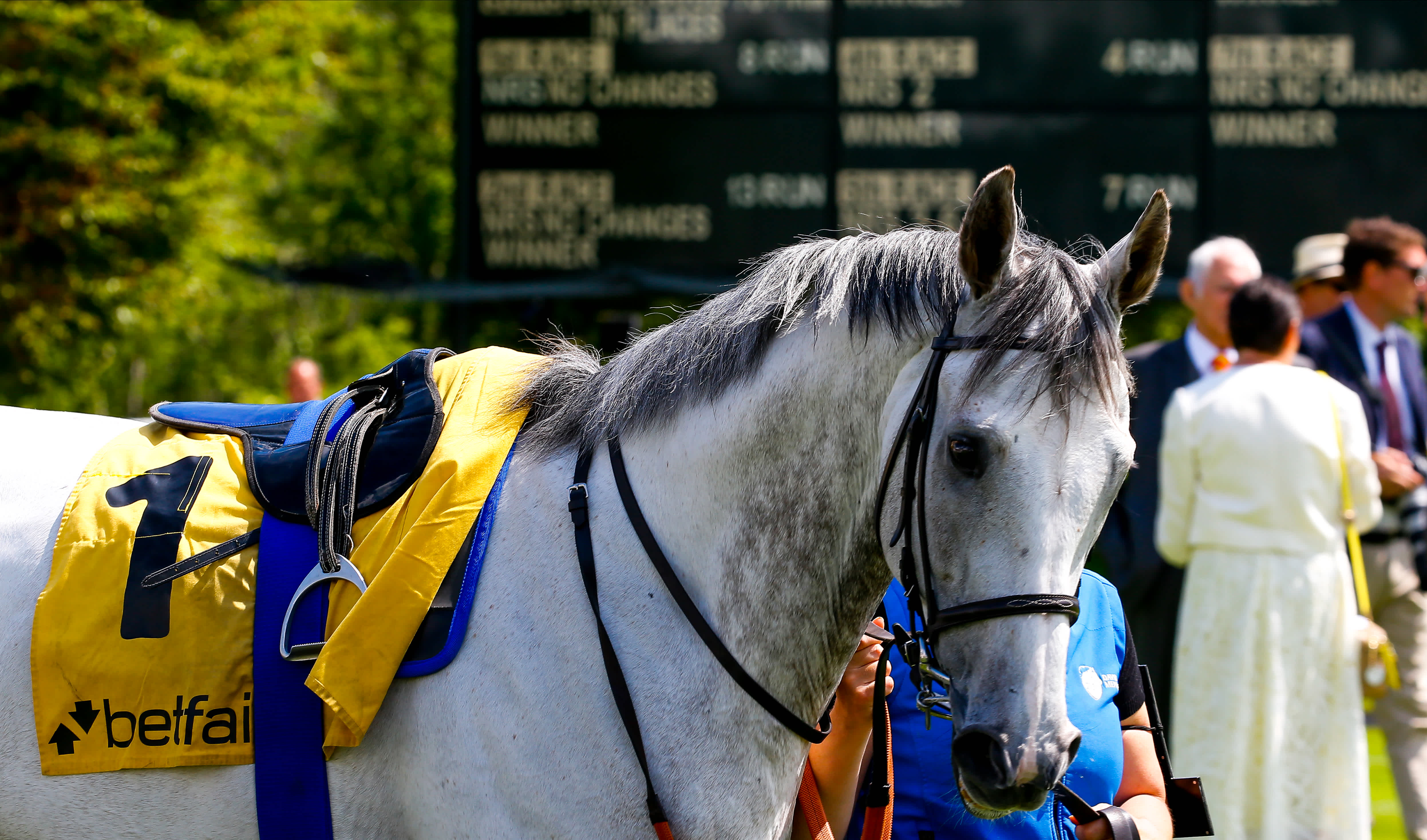 Thundering Blue bound for Rose Of Lancaster Stakes at Haydock