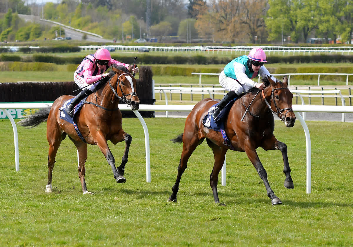 Midday's daughter Noon Star gets the job done at Nottingham