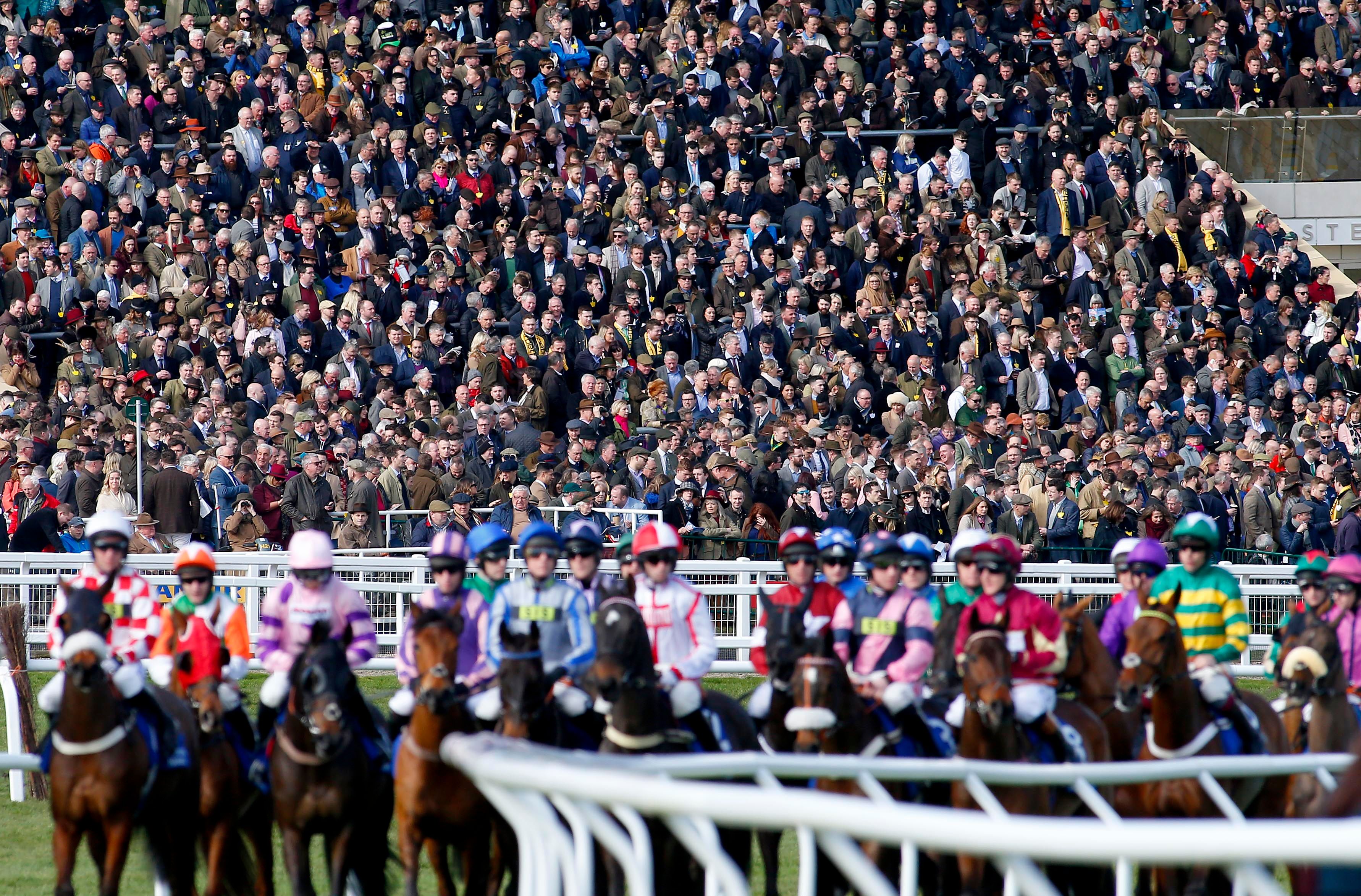 Cheltenham Festival 2022: Everything You Need To Know