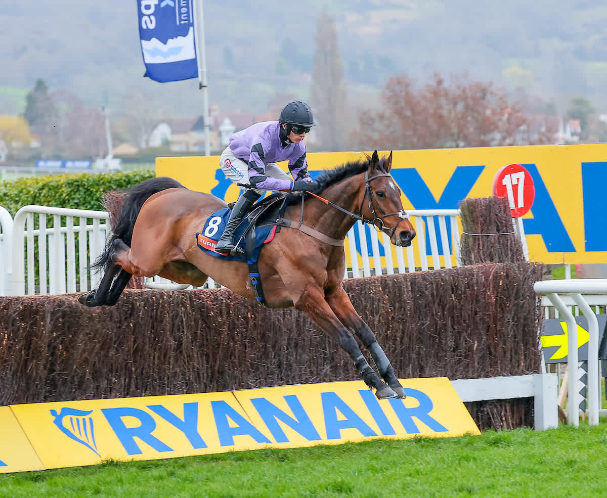 1.45 Aintree: Nicholls expecting Stage Star to shine again