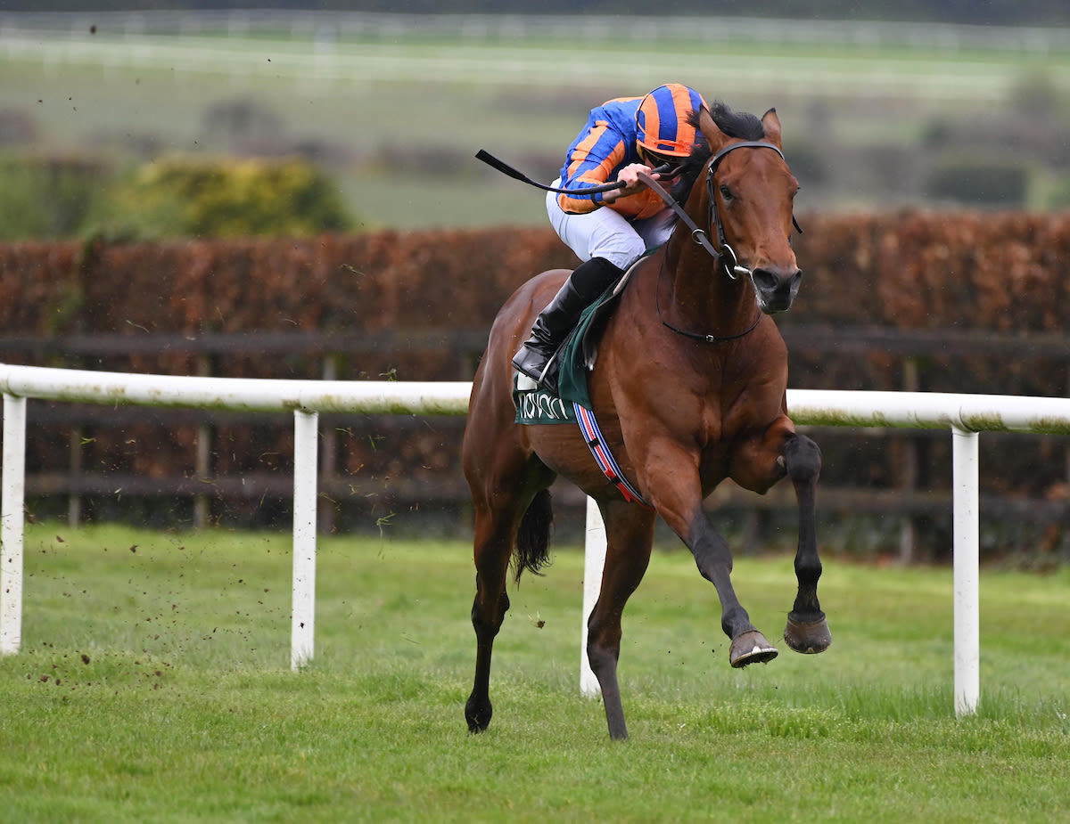 River Tiber looks Royal Ascot material at Navan