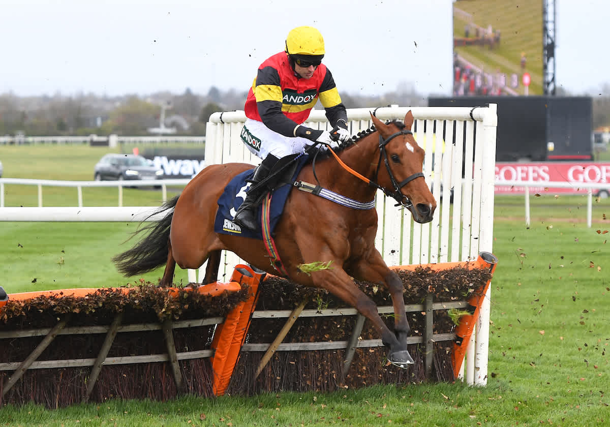 Grade One winner Knight Salute suffers ‘severe setback’