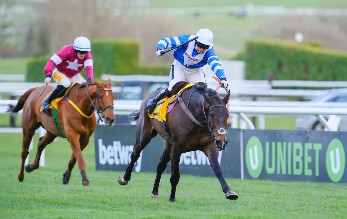 Paddy Power Cotswold Chase: runner-by-runner guide